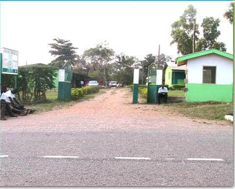 Akim Asafo Senior High Gallery | SchoolsInGh.com