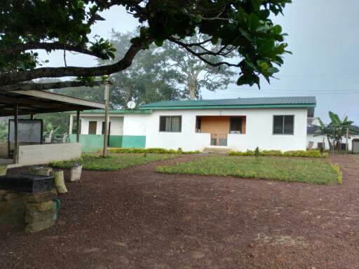 Okuapeman Senior High Gallery | SchoolsInGh.com